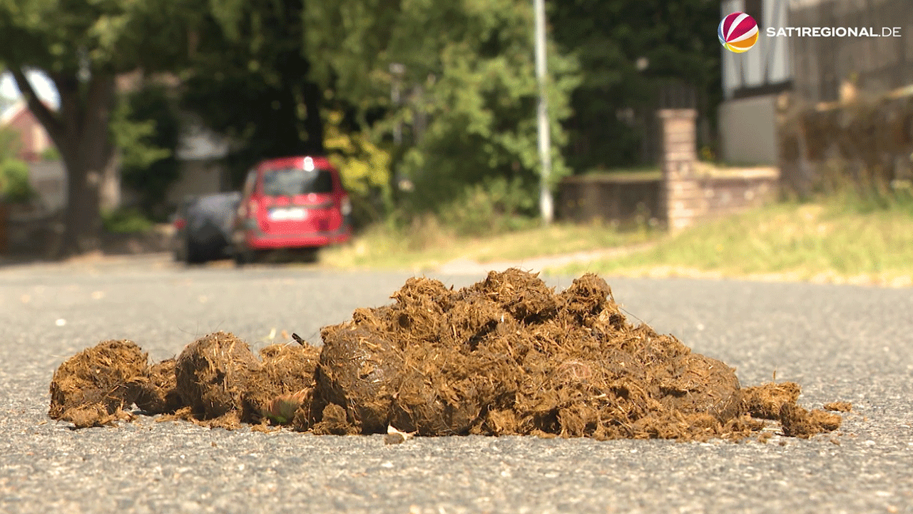 Pferdetoiletten in Billingshausen für saubere Straßen