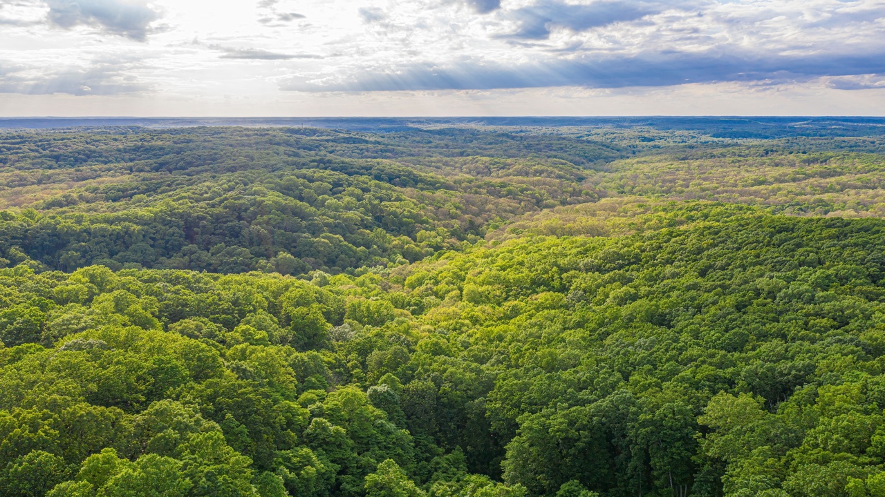 An hour from Indianapolis, Brown County’s ridges and river mist will ...