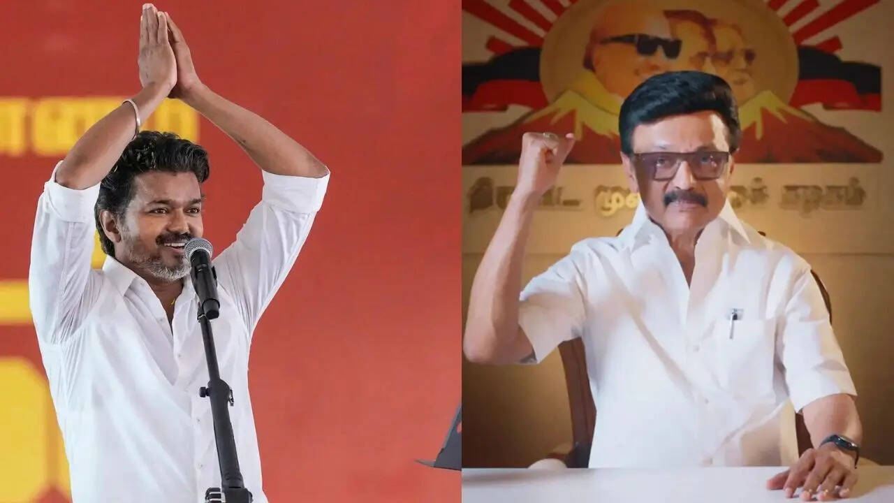 Tamil Nadu election results: TVK flattens DMK fort; party wins 14 out ...