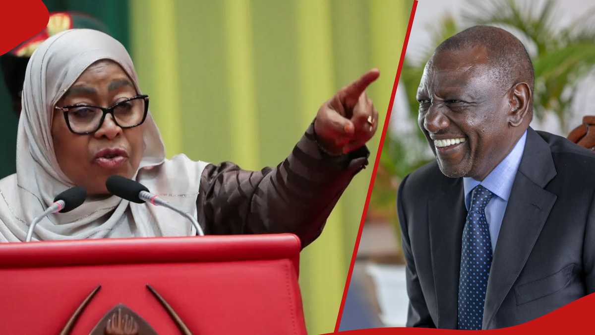 Samia Suluhu urges William Ruto to cane Gen Z to restore order: "We ...