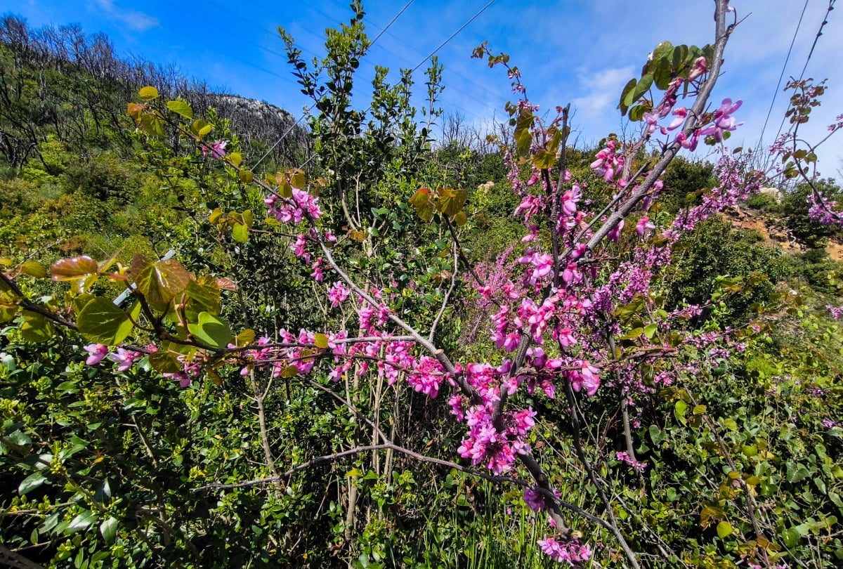 Ανεβαίνει η θερμοκρασία σήμερα - 25αρια θα δείξει το θερμόμετρο