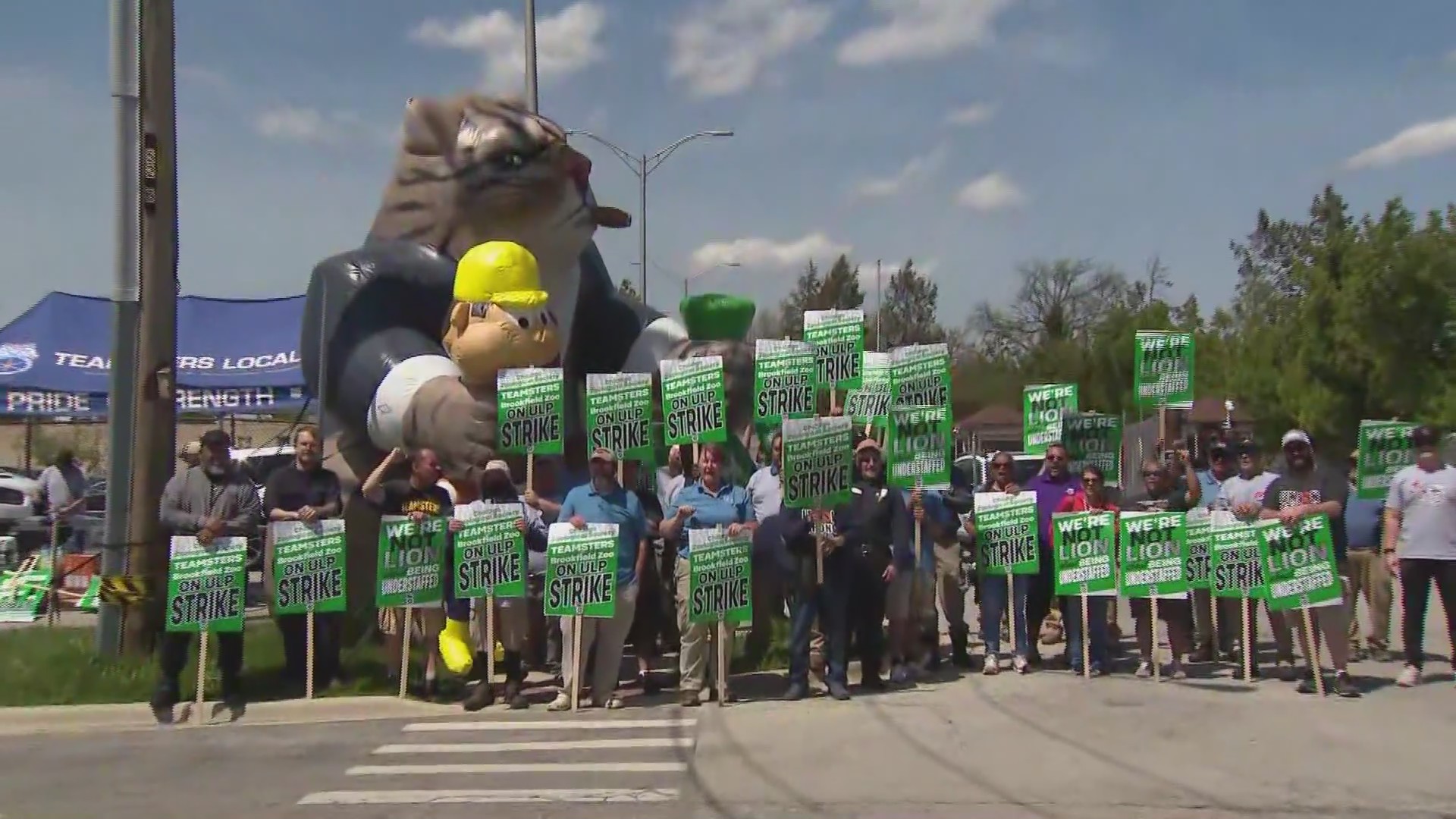 Teamsters Local 727 strike at Brookfield Zoo over healthcare dispute