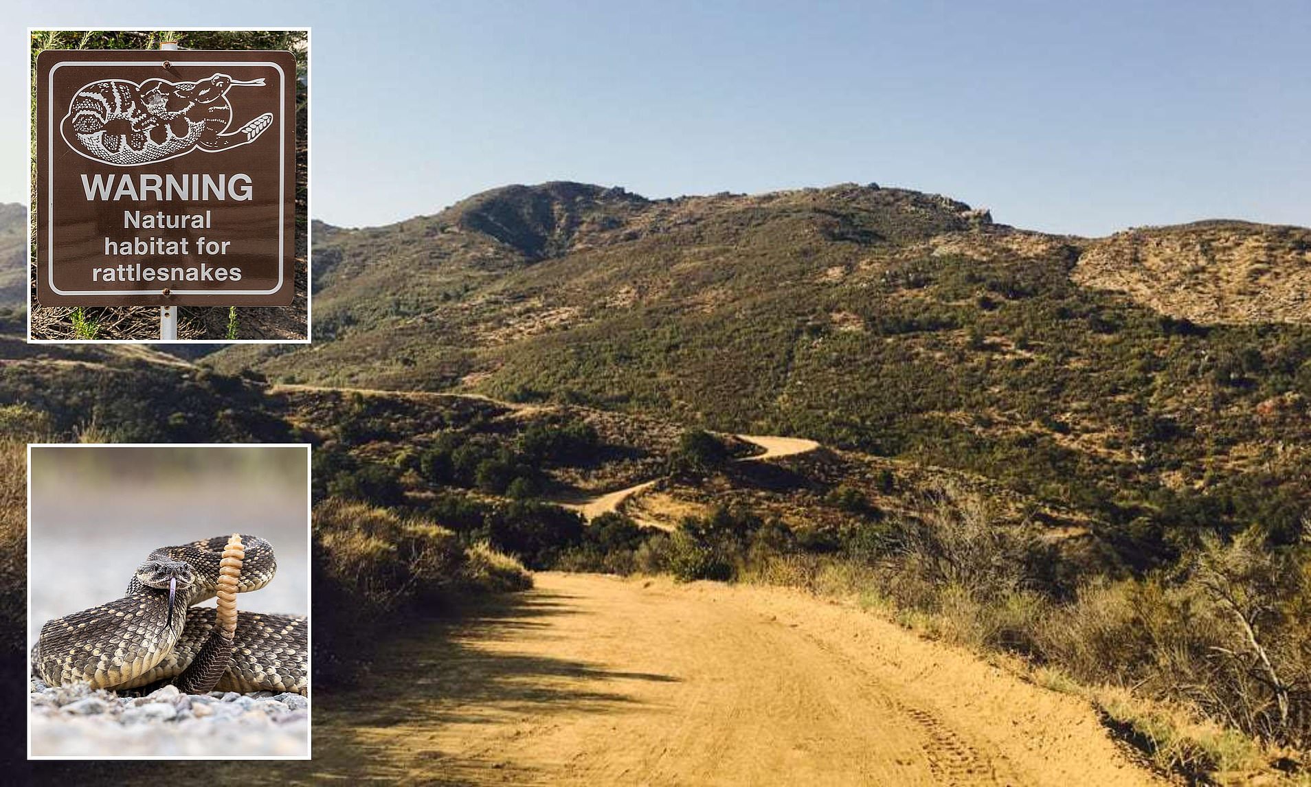 Major rattlesnake warning in California after hiker gets airlifted to ...