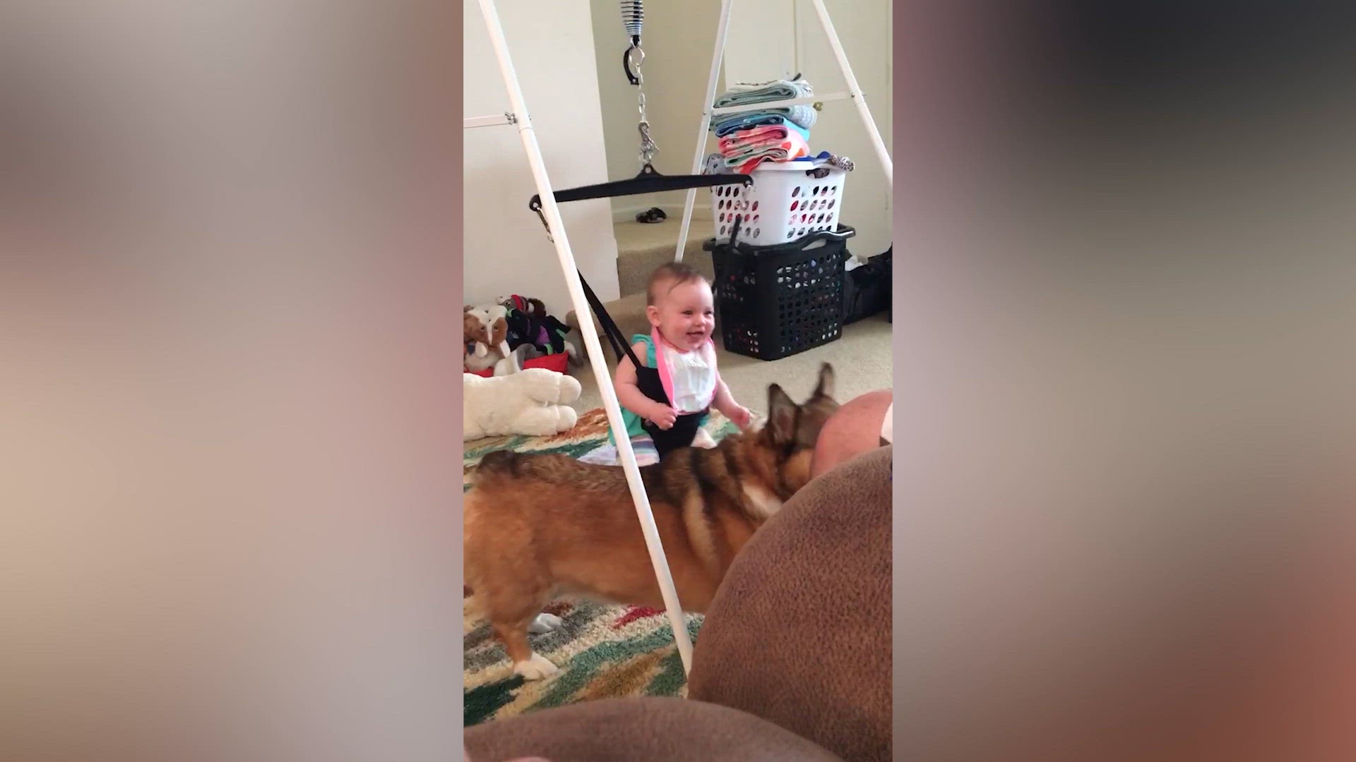 Giggles and paws