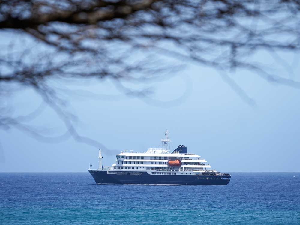 4 Canadians aboard cruise ship facing suspected hantavirus outbreak