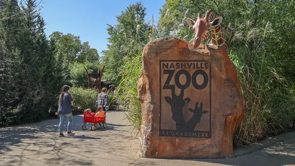 Nashville Zoo, Brad Paisley express gratitude as petition against data ...