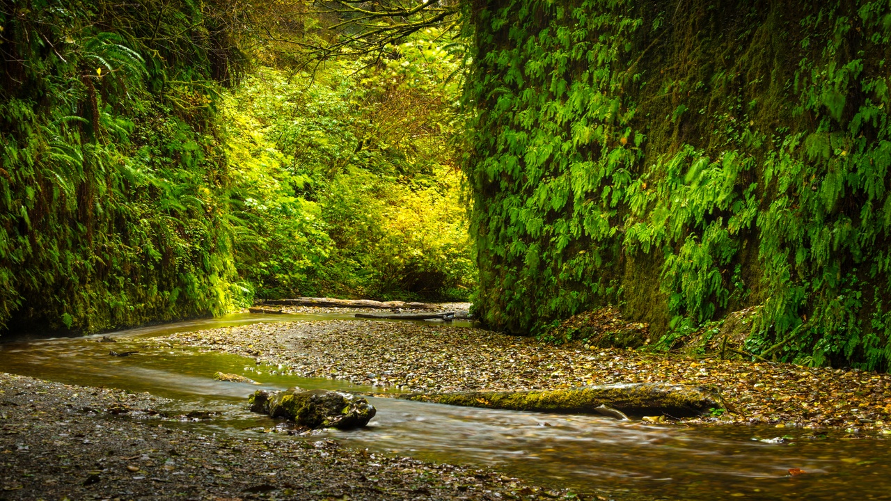 This Northern California canyon looks so prehistoric they filmed ...