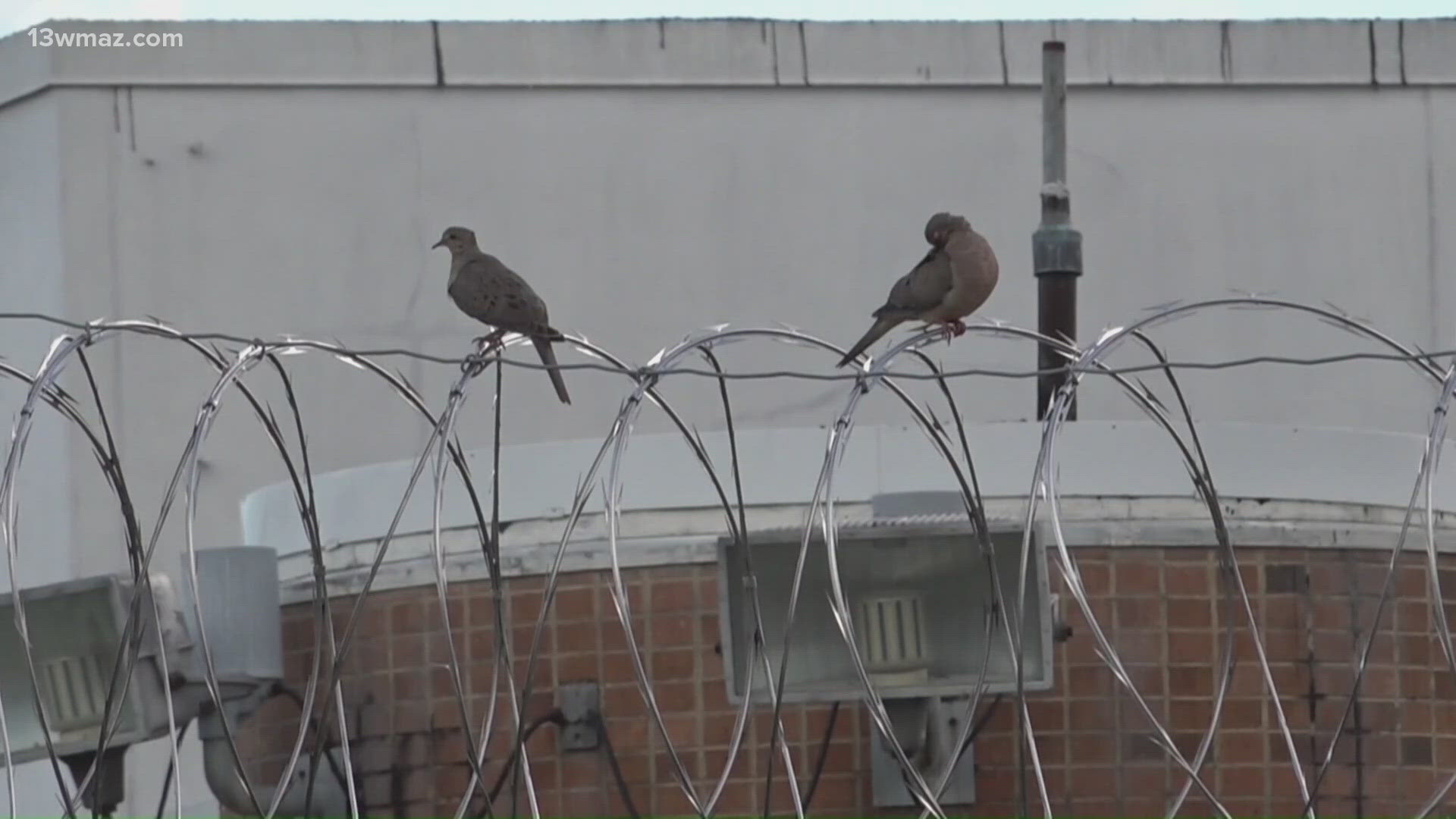 Amid disease and infestations in Bibb County jail, officials continue ...