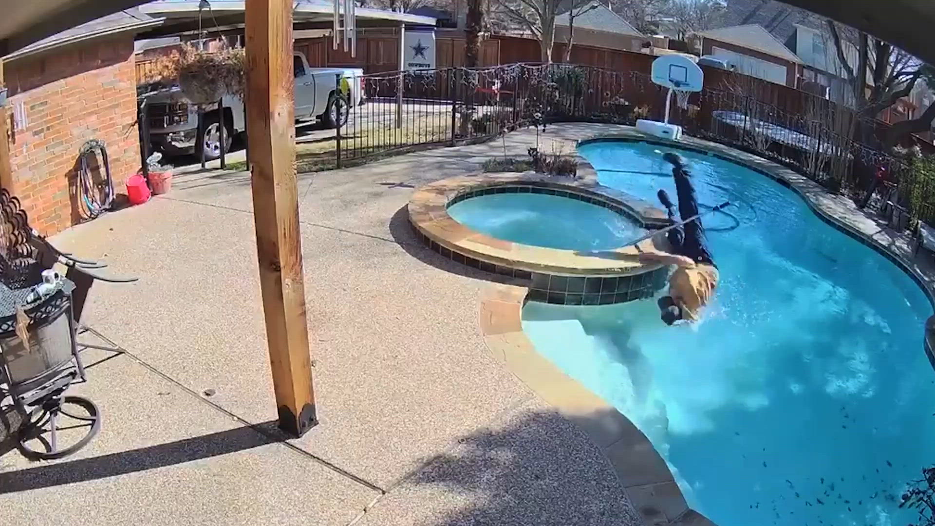 Security cam chaos