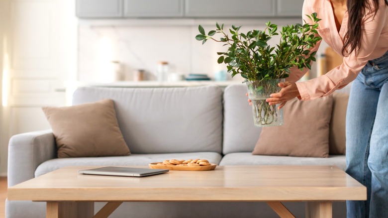 4 coffee table decor aesthetics to kick off your inspiration