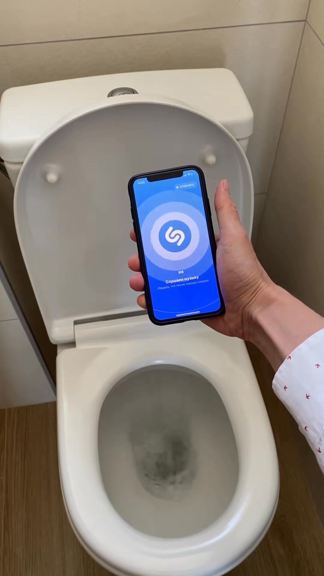 What does your toilet sound like?