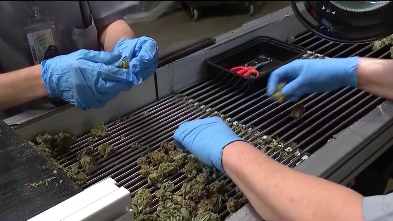 Marijuana reclassification's impact on Illinois cannabis businesses