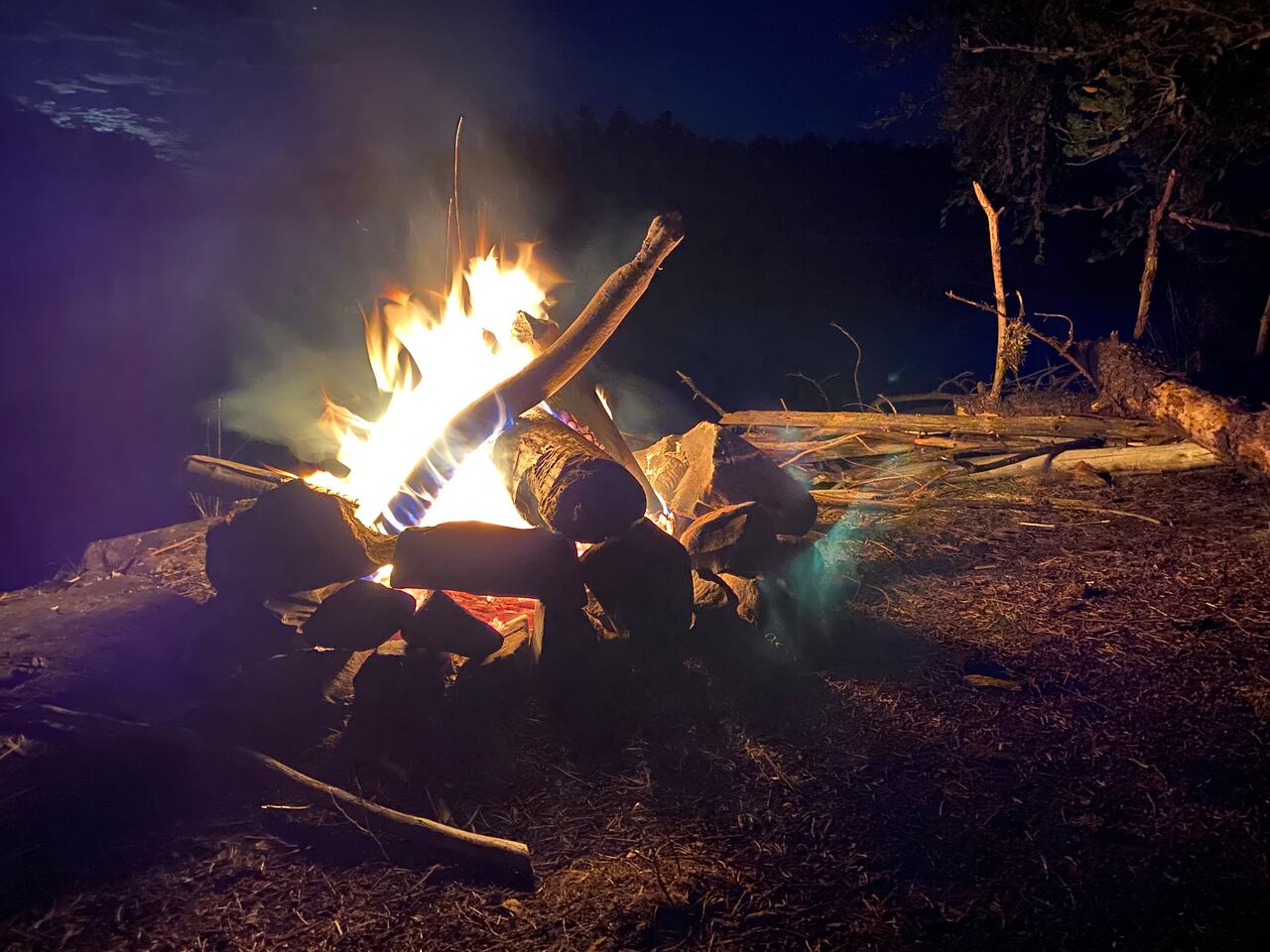 Campfires to be banned across BC.'s South Coast amid warm spring weather