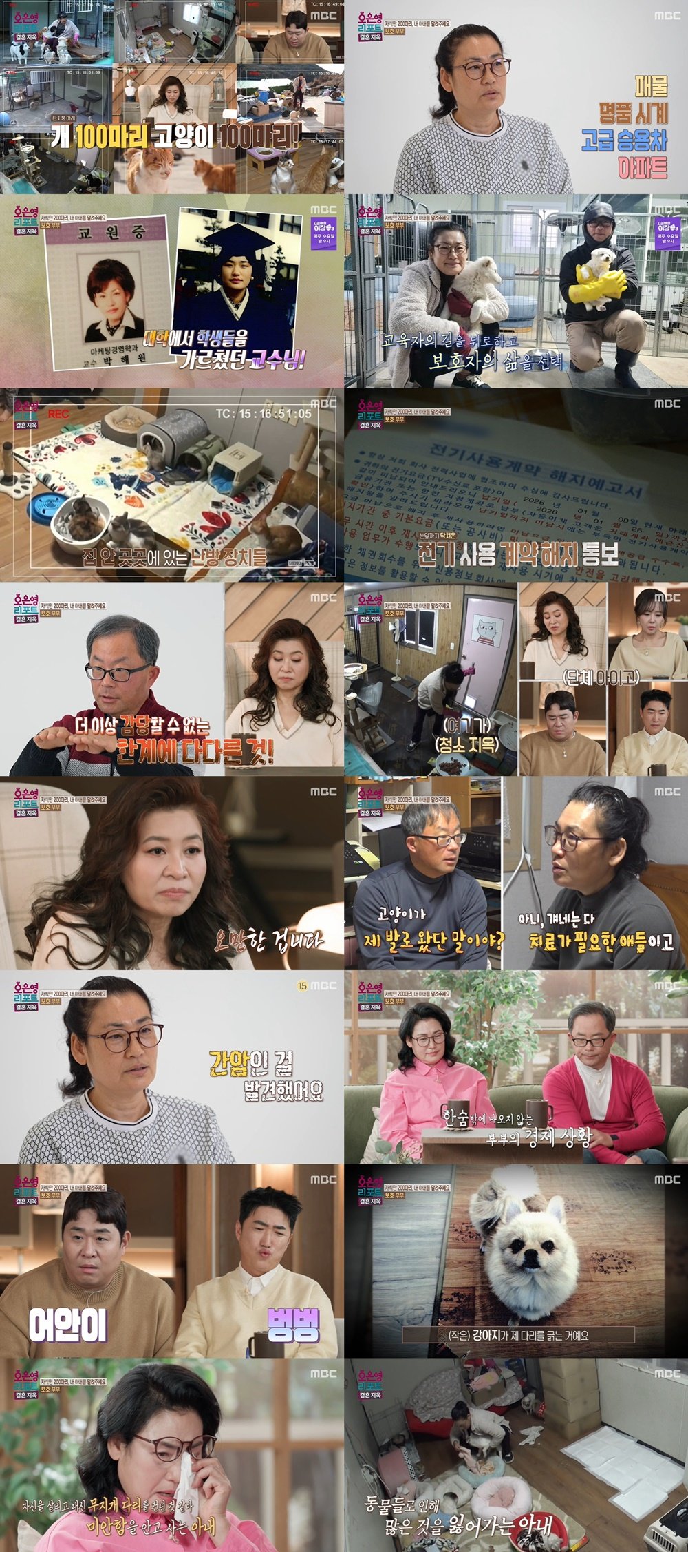 아내, 동물 200마리 돌보며 수억 사용…남편 “한계” (결혼 지옥)