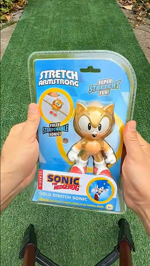 Rare sonic experiment: What happens when Sonic the Hedgehog takes over ...