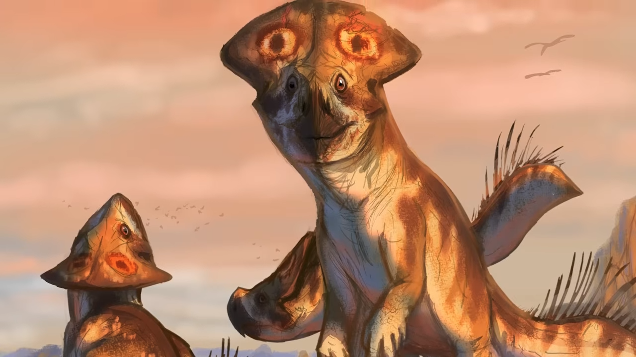 Why so many Protoceratops fossils have been found in Mongolia