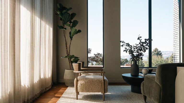 5 structural houseplants to style in your home