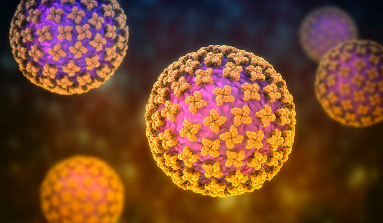 Irish woman on cruise ship hit by fatal virus outbreak reveals 'awful ...