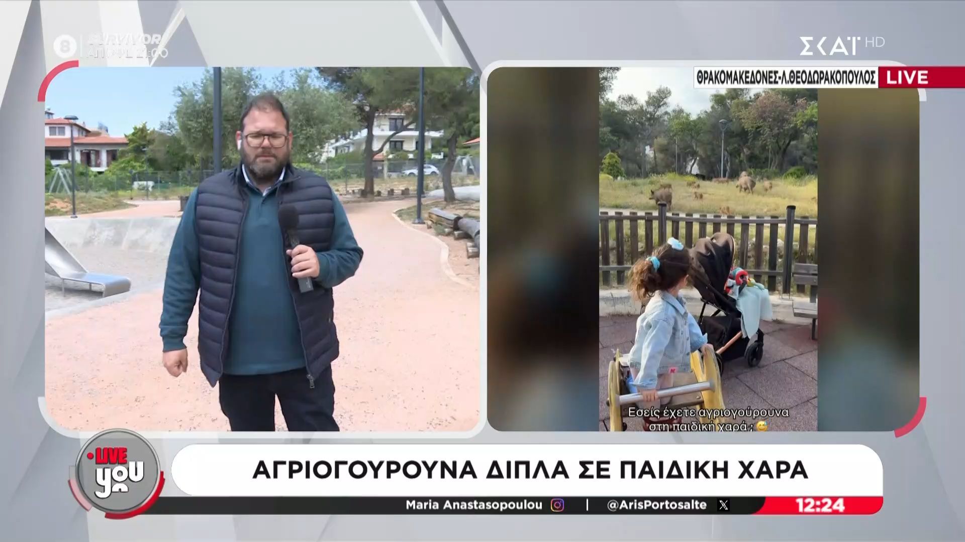 Αγριογούρουνα δίπλα σε παιδική χαρά