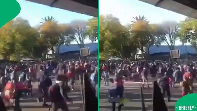 Parents concerned after Sandtonview School disruption as footage shows ...