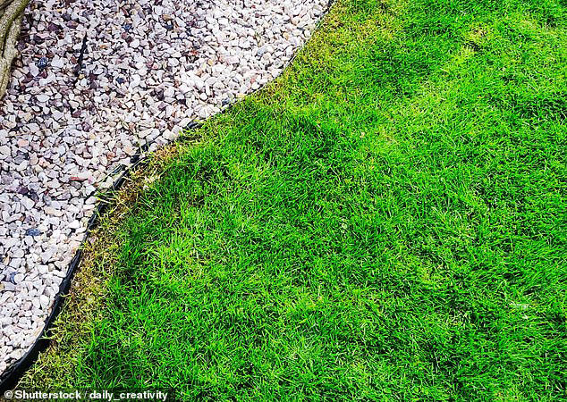 I'm embroiled in a dispute with neighbour over a tiny plot of land ...