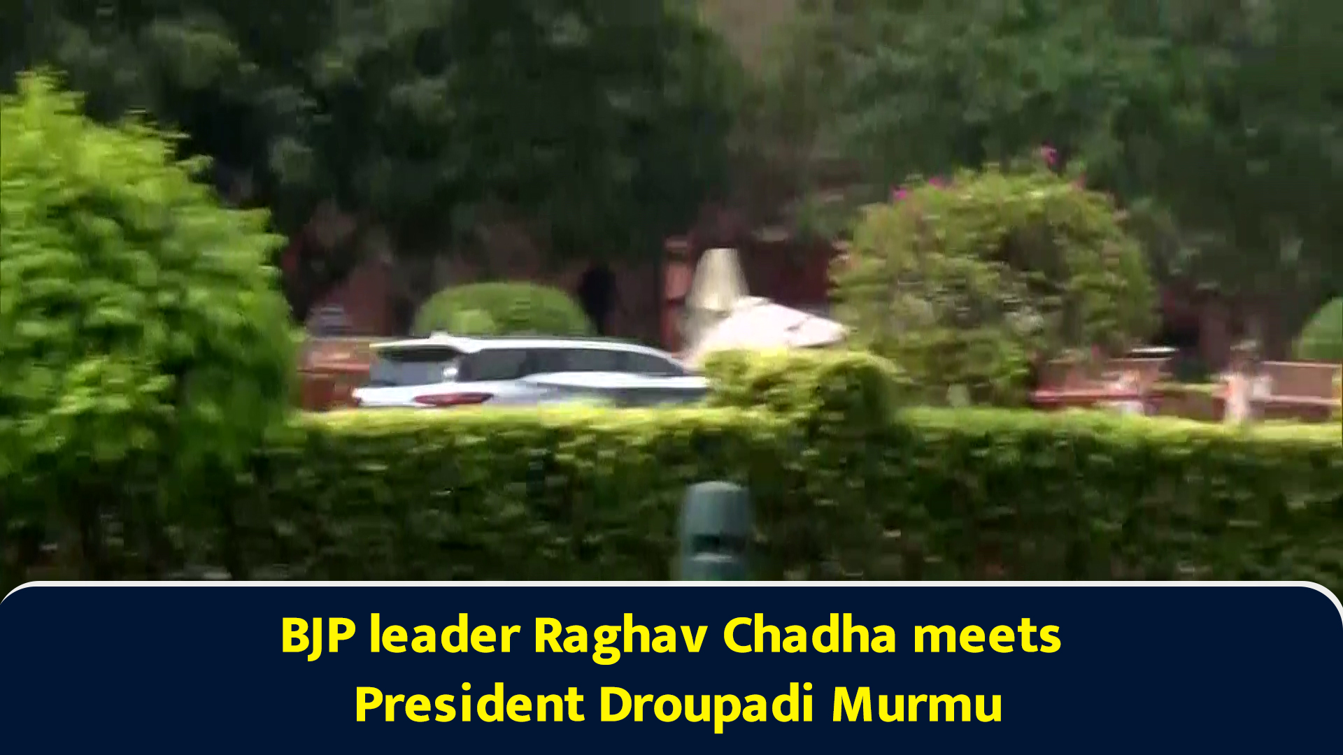 BJP leader Raghav Chadha meets President Droupadi Murmu