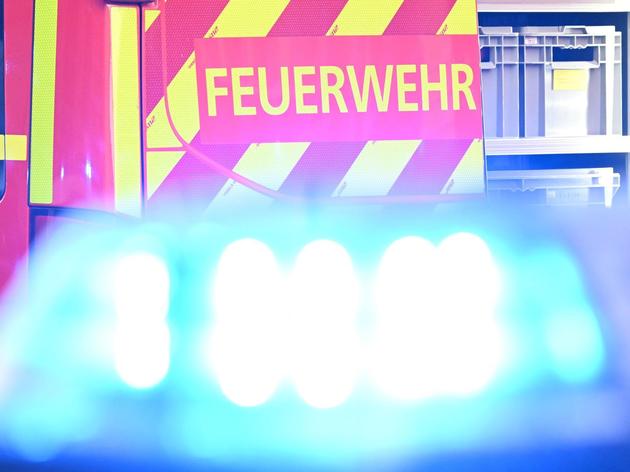 Unbekannte setzen Tannen in Brand – Polizei sucht nach Zeugen