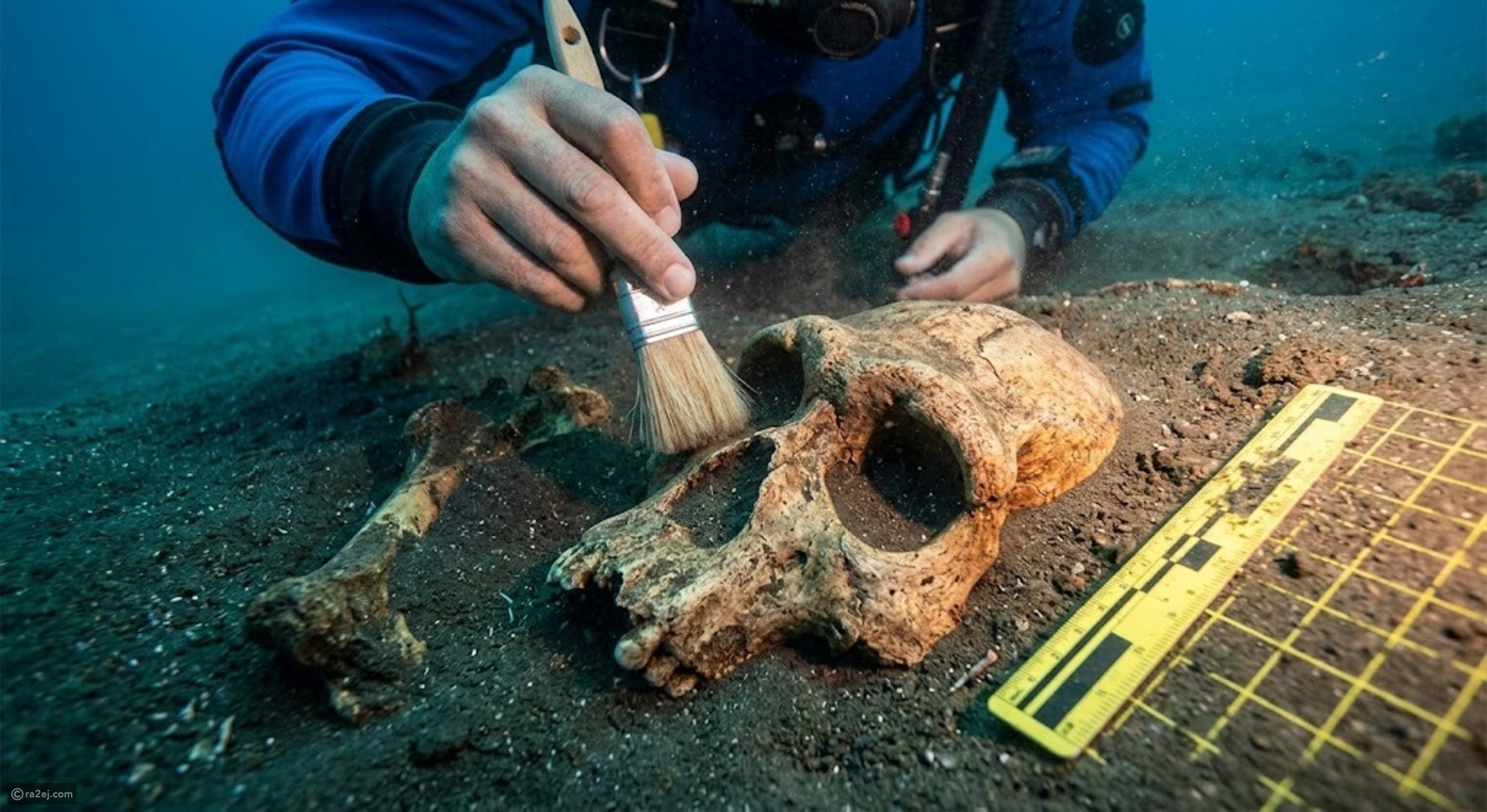 Scientists found a lost world under the ocean — 10 stunning facts