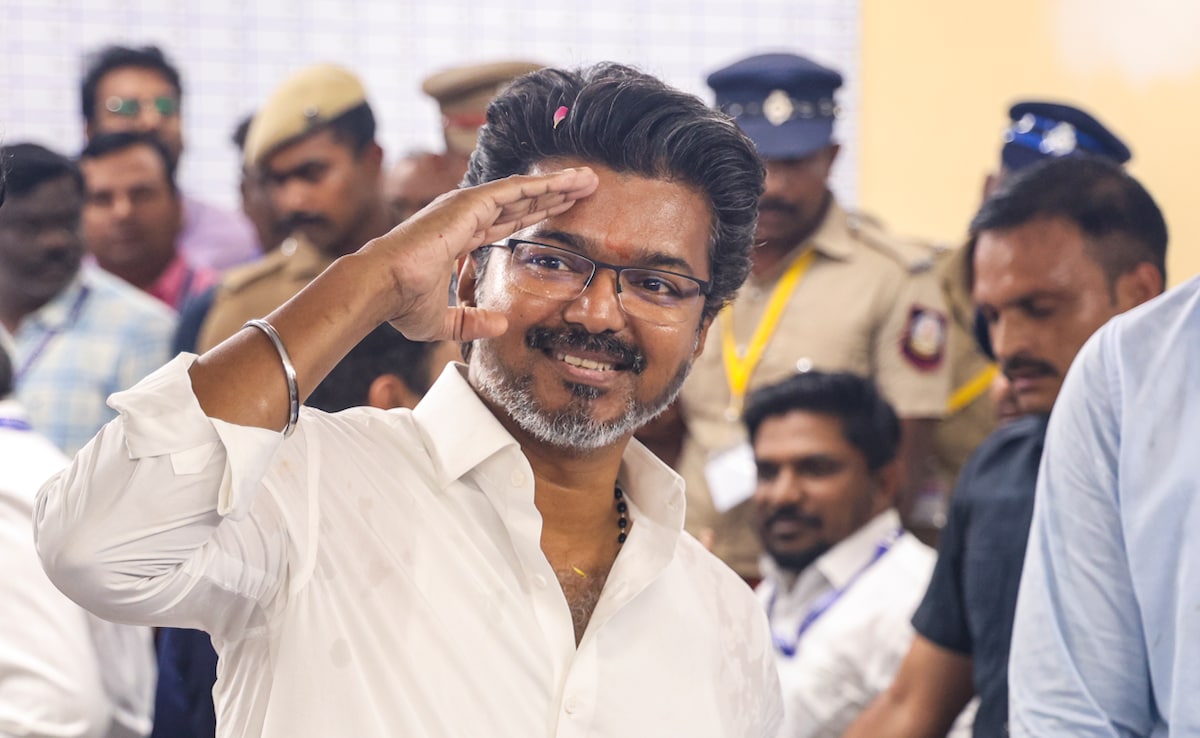 Vijay to form an alliance in Tamil Nadu? What TVK insiders told NDTV