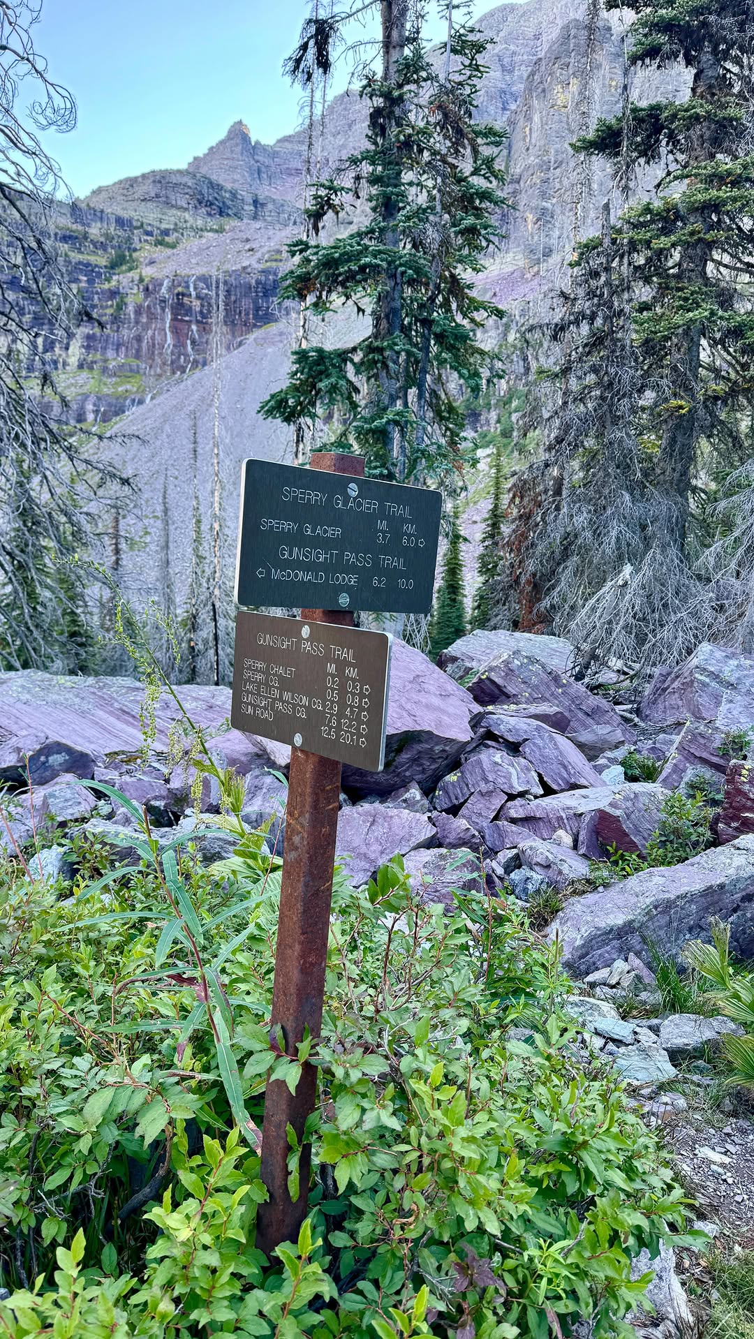 Why Sperry Glacier hike in Glacier National Park is stunning