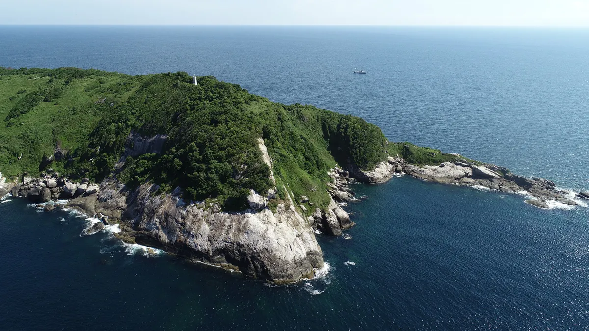 This man snuck onto the deadly Snake Island where humans are forbidden ...
