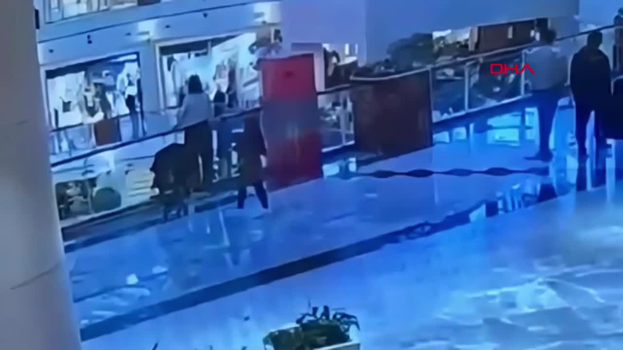 Sarıyer'de AVM'de çanta çalan 10 yaşındaki çocuk yakalandı: 92 suç ...