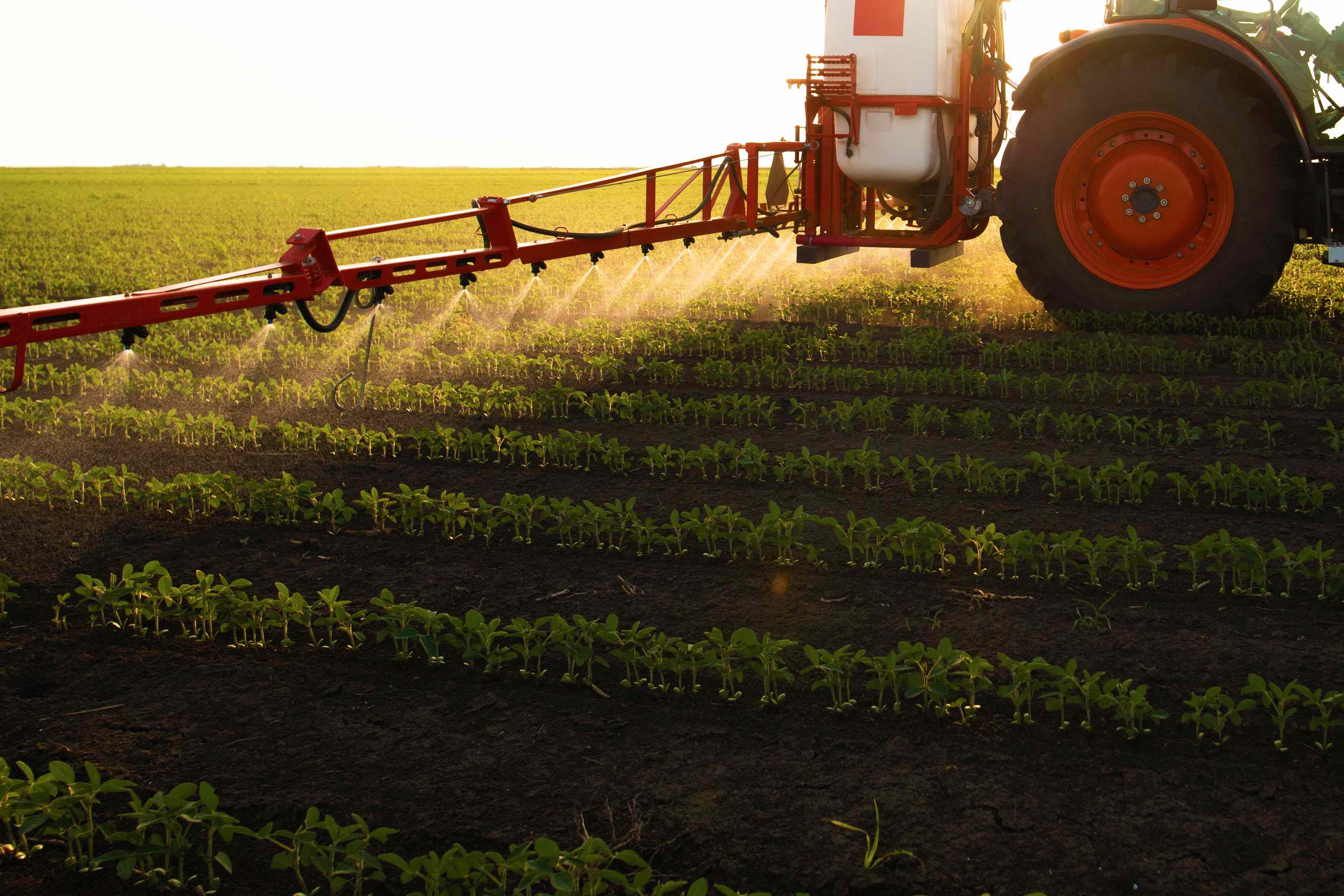 The new farm bill could change SNAP, food access, and the cost of ...
