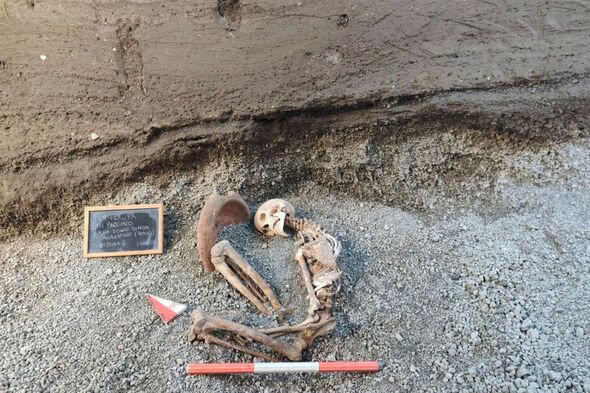 Pompeii victim's face reconstructed with AI by archaeologists as he ...