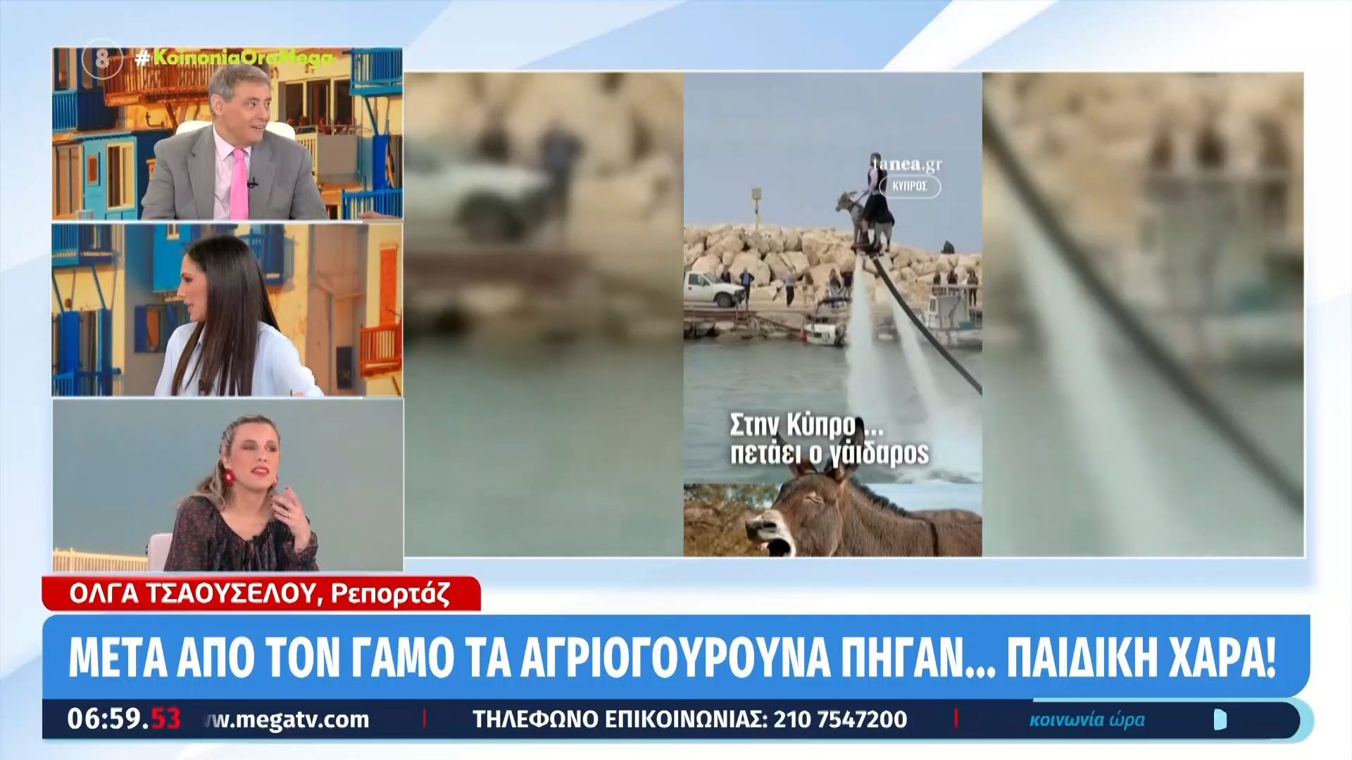 Στην Κύπρο... πετάει ο γάιδαρος!