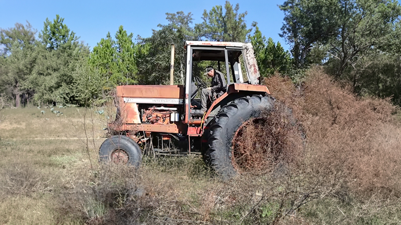Reviving an International ag tractor