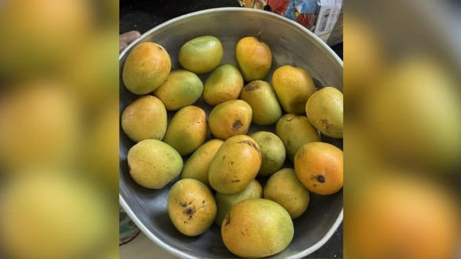 Why you should always soak mangoes in water before eating them