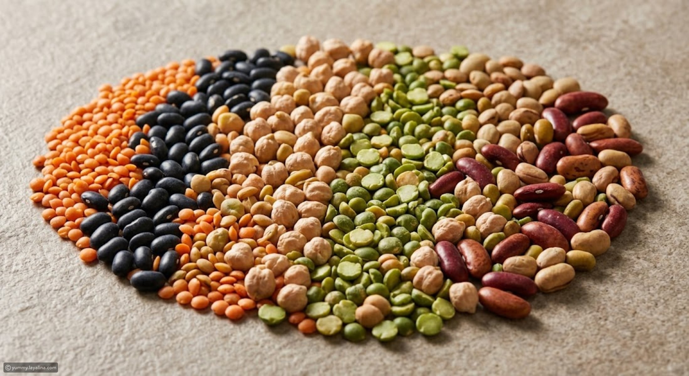 10 foods to support health for men and women