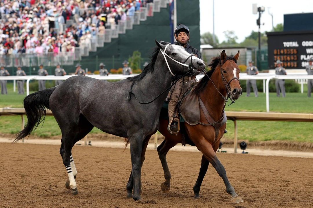 Update given on Kentucky Derby horse that was scratched from race and ...