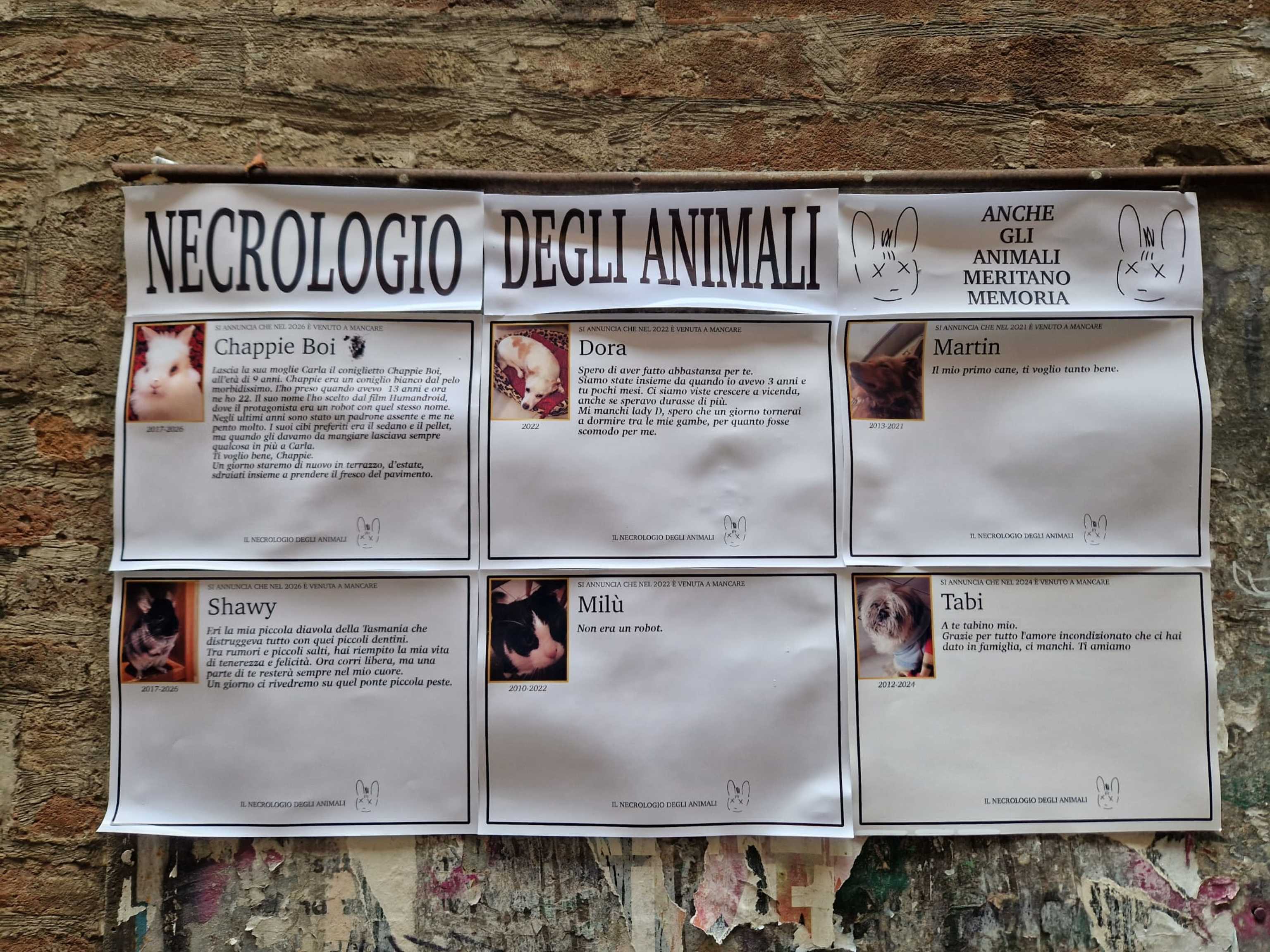 Su un muro del centro di Perugia uno spazio dedicato al «necrologio ...