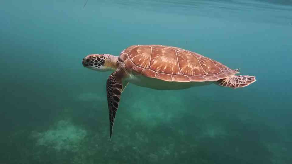 Virgin Islands National Park ultimate guide; beaches, ruins & hidden gems