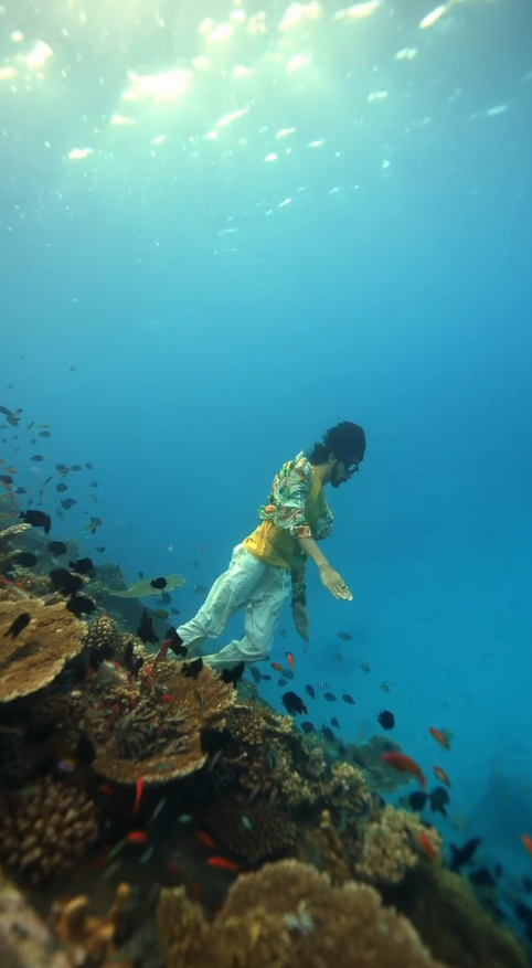 Discovering life beneath island waters