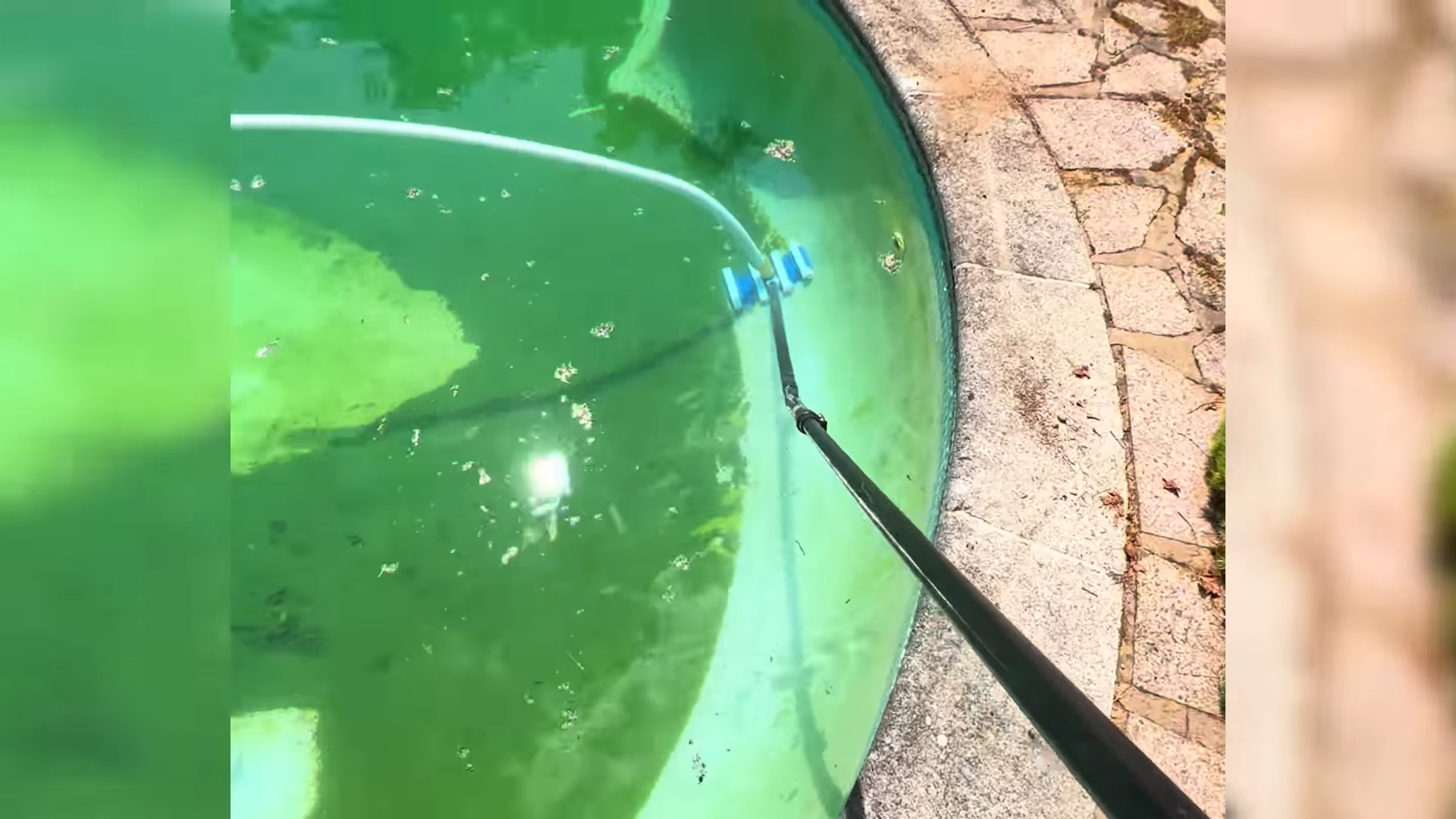 How dirty pools turn crystal clear step by step
