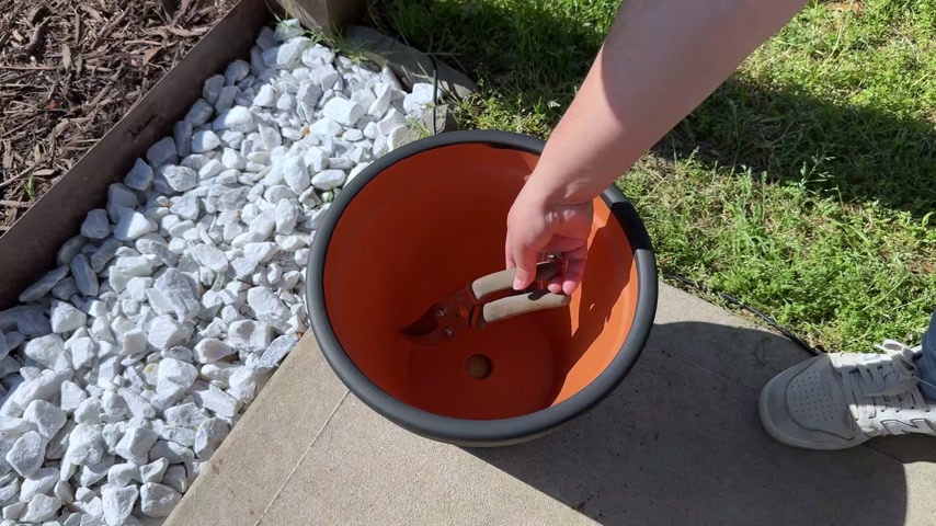 Buy a cheap Walmart pot for these genius summer ideas!