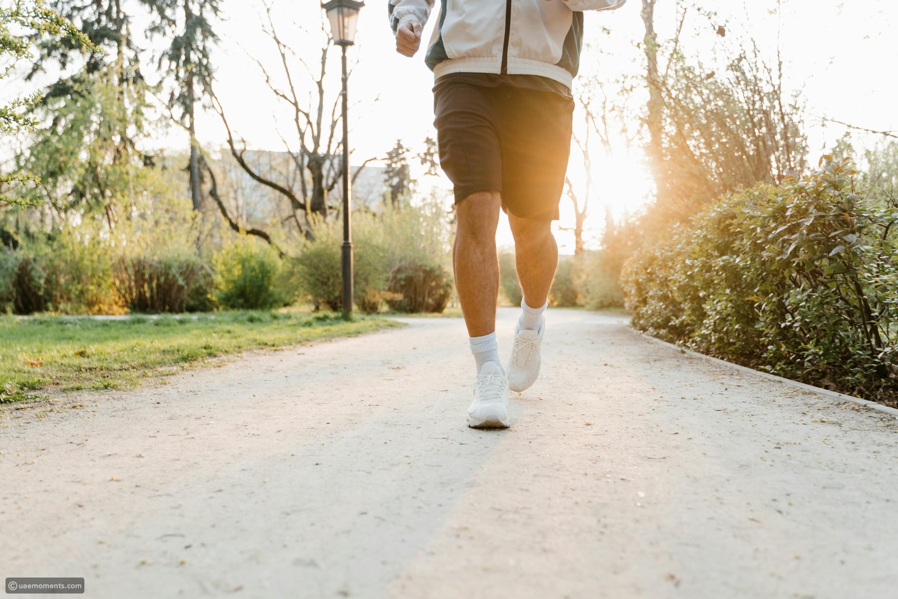 The social spark: How to boost your energy and connect