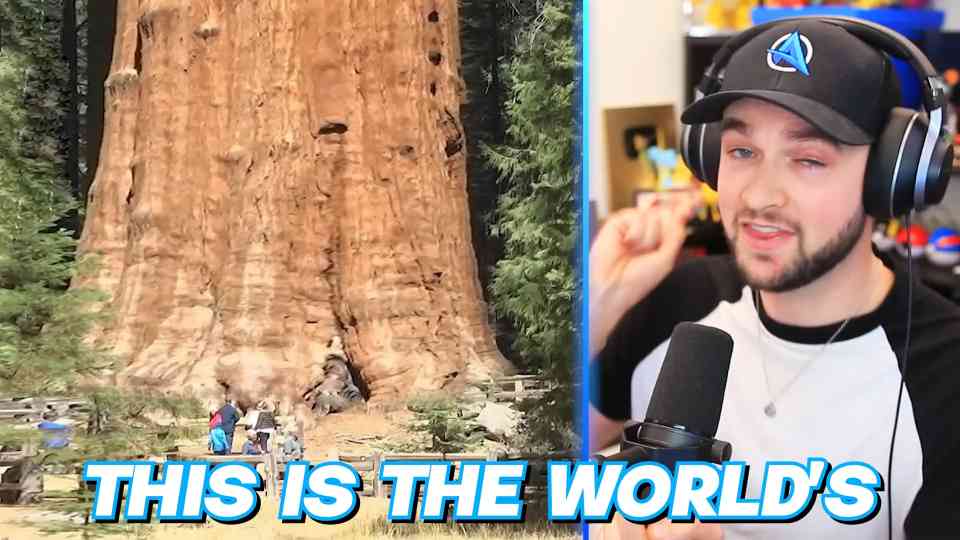 This perspective trick will fool you - you think it fits in hand but ...