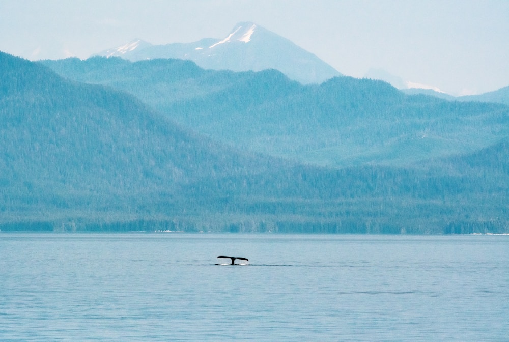 Best holiday experiences on or near the ocean