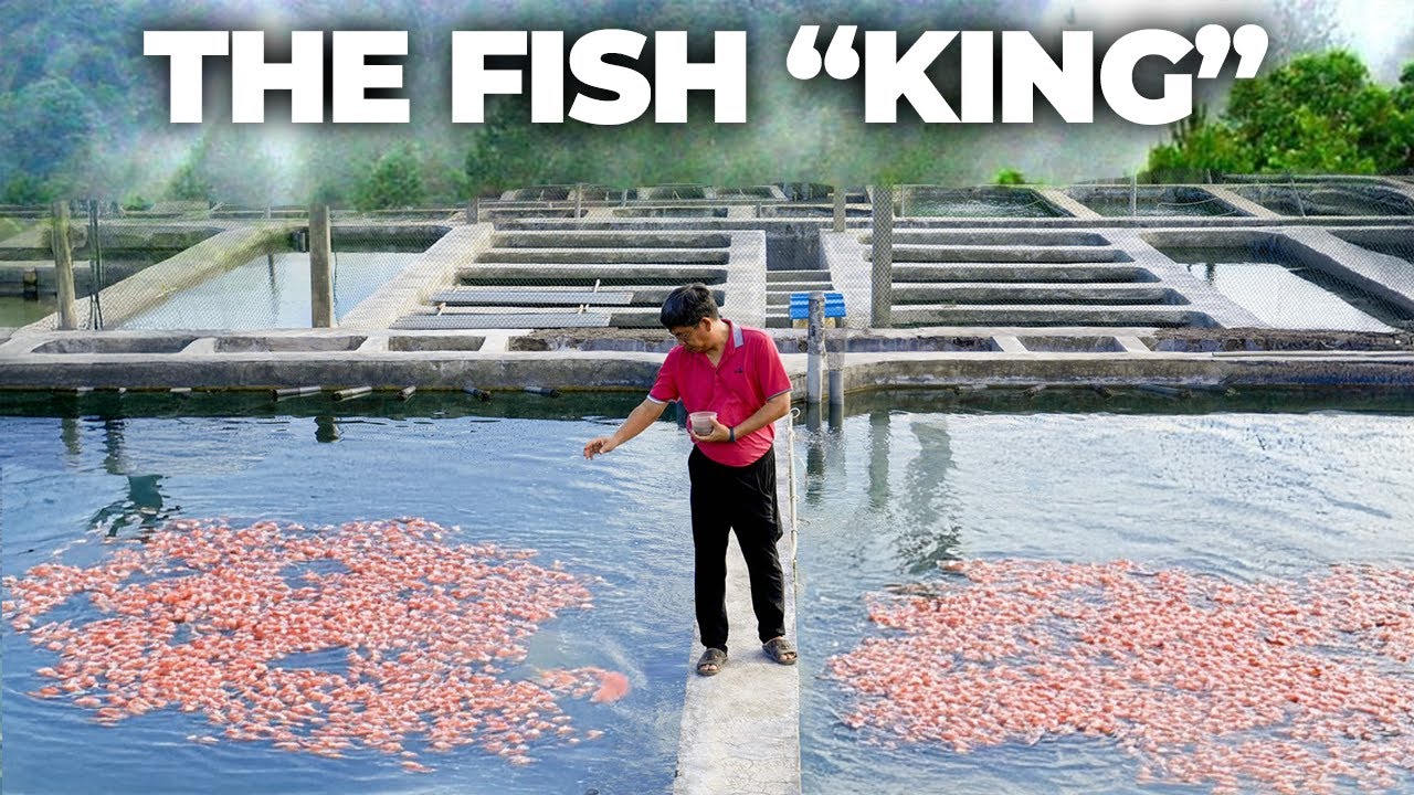 Private tour of Asia fish farmer’s secret breeding village