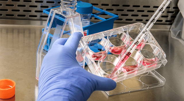 Regeneron (REGN) Dupixent phase 4 trial results show improved ...