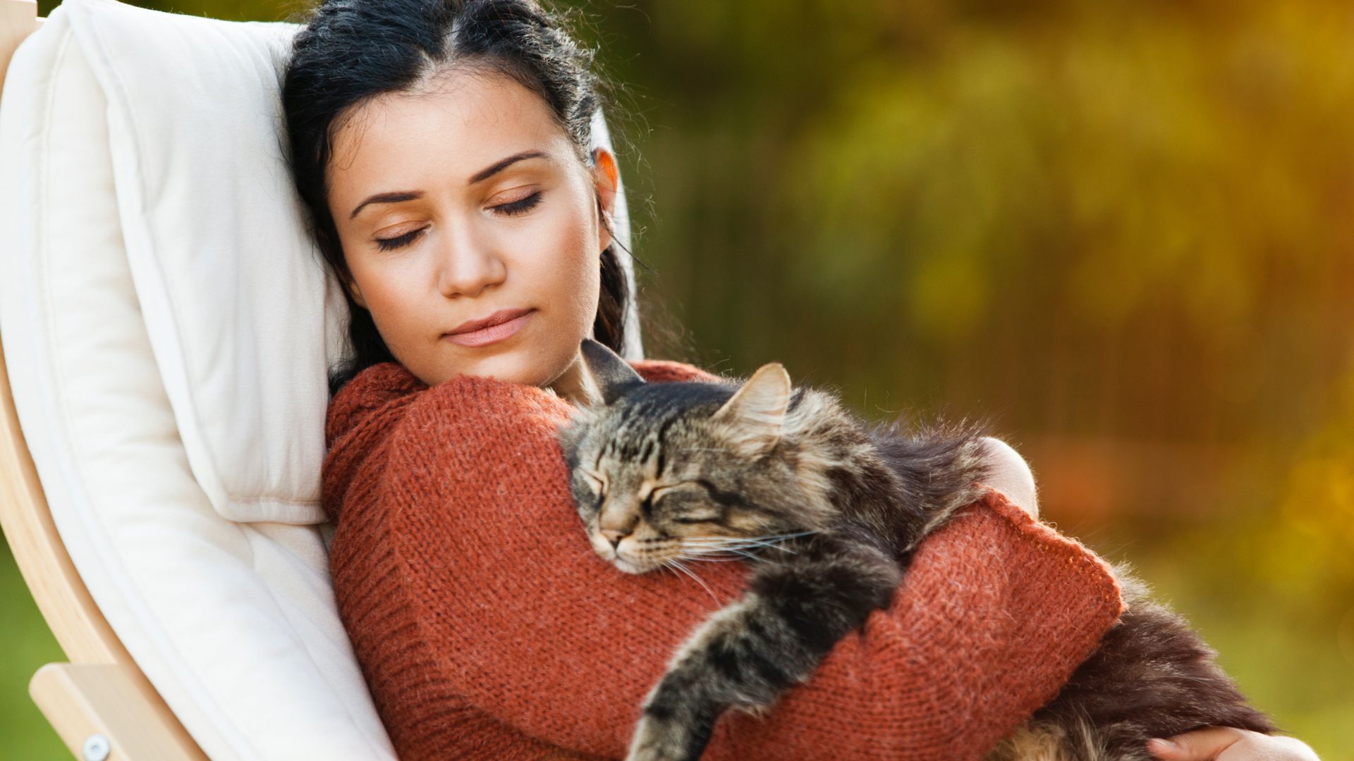 Low energy cat breeds for owners who just want to chill